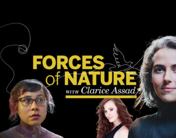 Home - Wheeling Symphony Orchestra