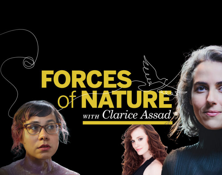 Home - Wheeling Symphony Orchestra