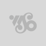 WSO Musicians - Wheeling Symphony Orchestra